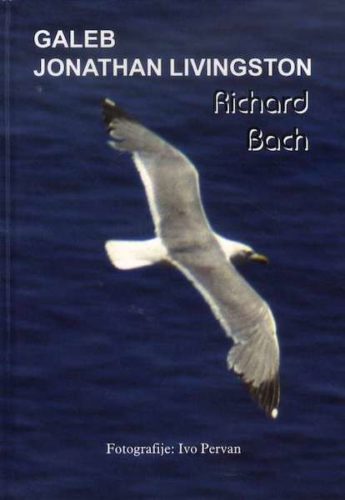 Galeb Jonathan Livingston – HighCastle